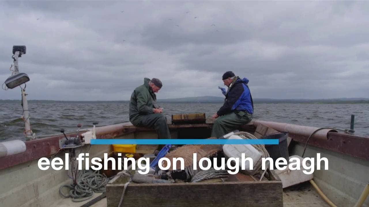 River to Lough Festival 2016; Celebrating Lough Neagh Eels - YouTube