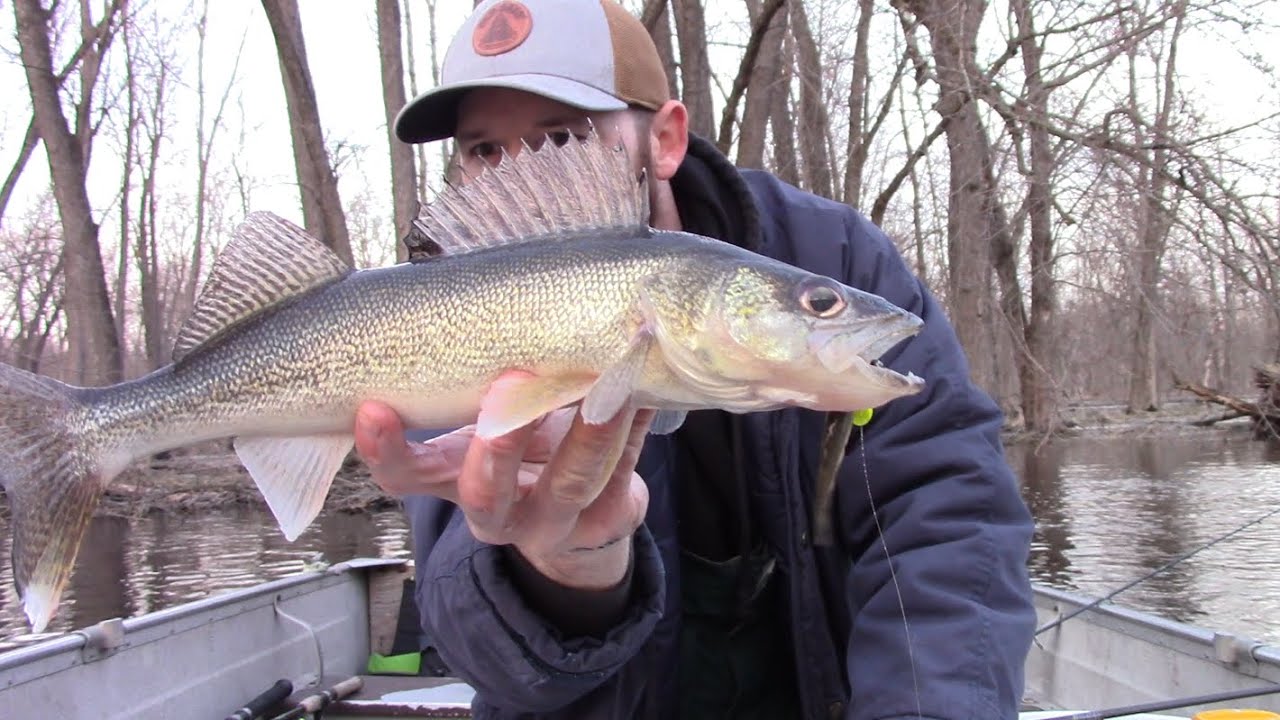 WOLF River POST SPAWN WALLEYES Fishing with a Follower (RARE Catch)# ...
