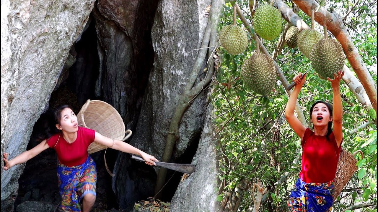 smart woman pick durian on mountain for eating - Yummy eating durian ...