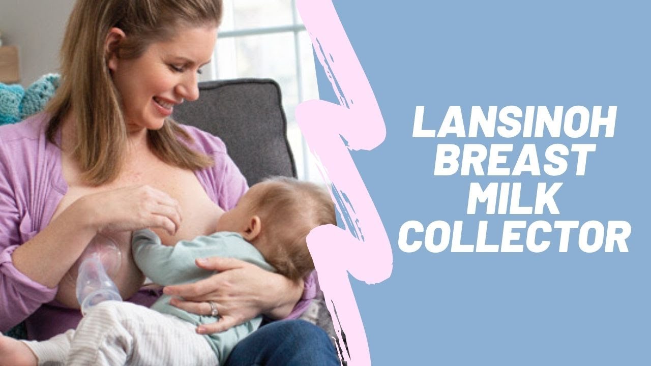 Lansinoh Breastmilk Collector For Breastfeeding 100k Bonuses In