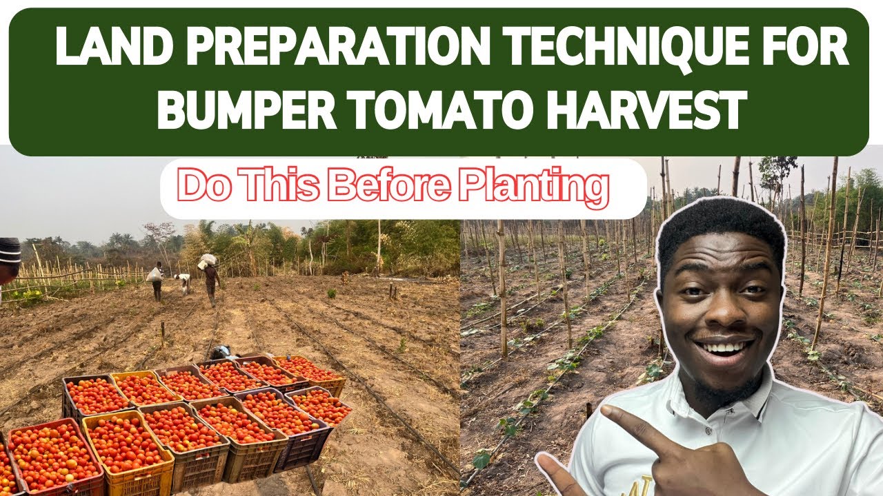 The Best Land Preparation Technique For More Harvest. Make money from ...