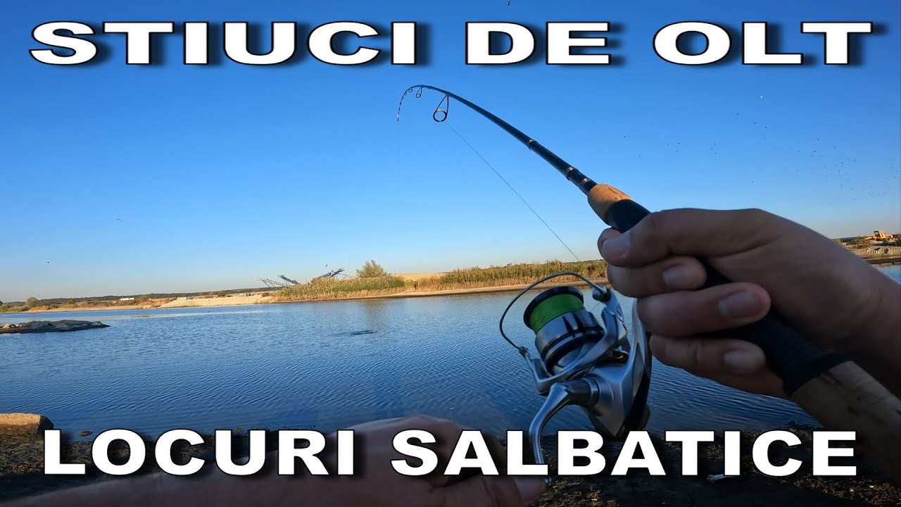 Pescuit la stiuca de pe mal - Spinning - Oltul a secat! - YouTube