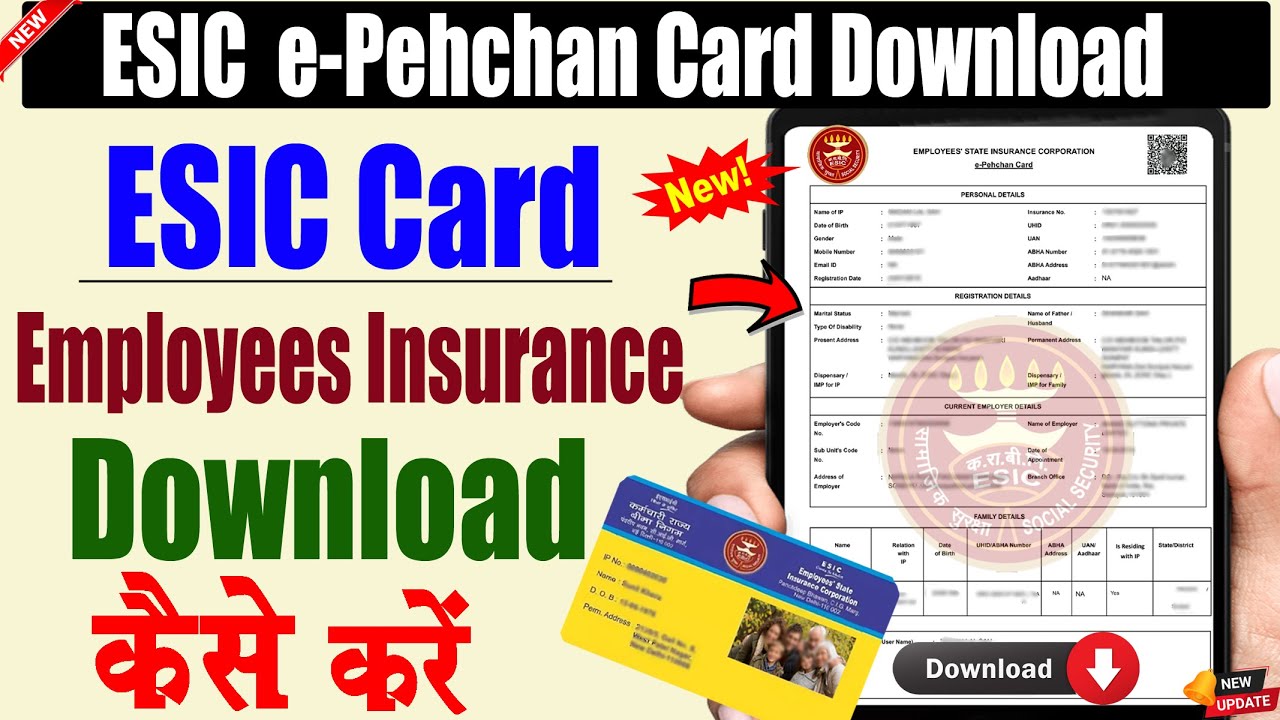 ESIC Card, ESIC e-Pehchan Card Download kaise kren | How to esic card ...
