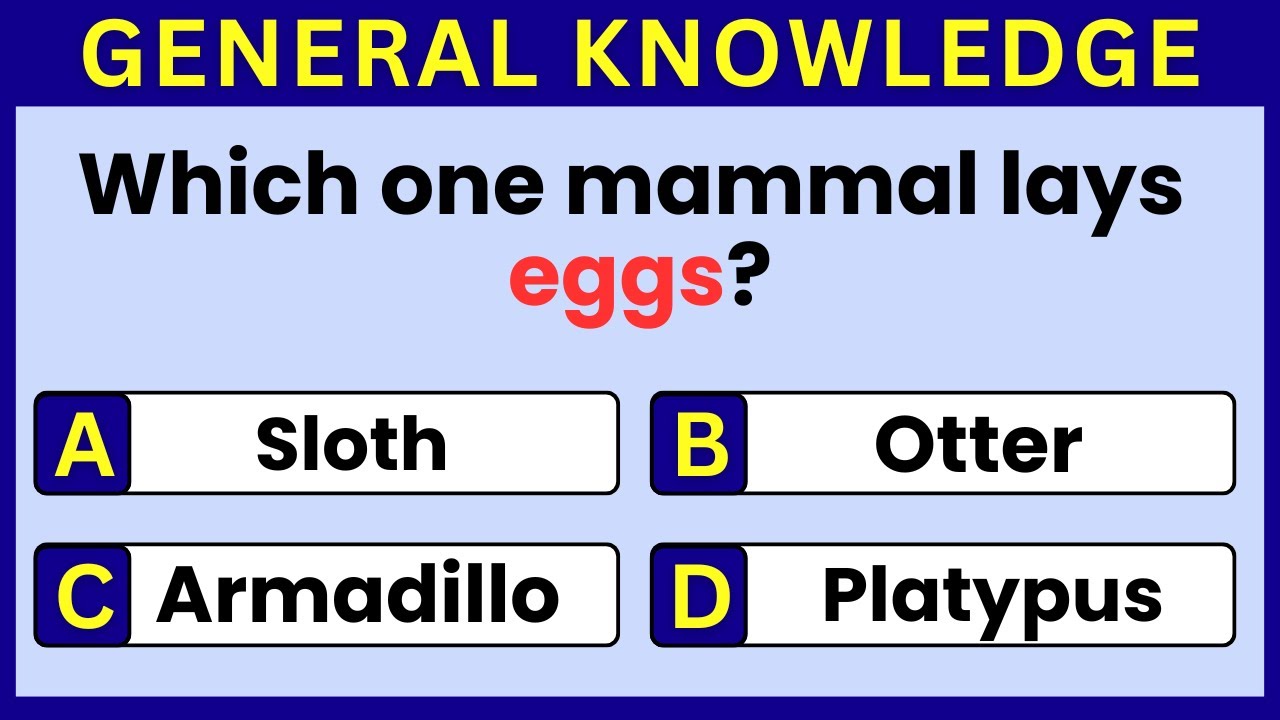General Knowledge Quiz: Can you score full marks? #quiztime #gkquiz #gk ...