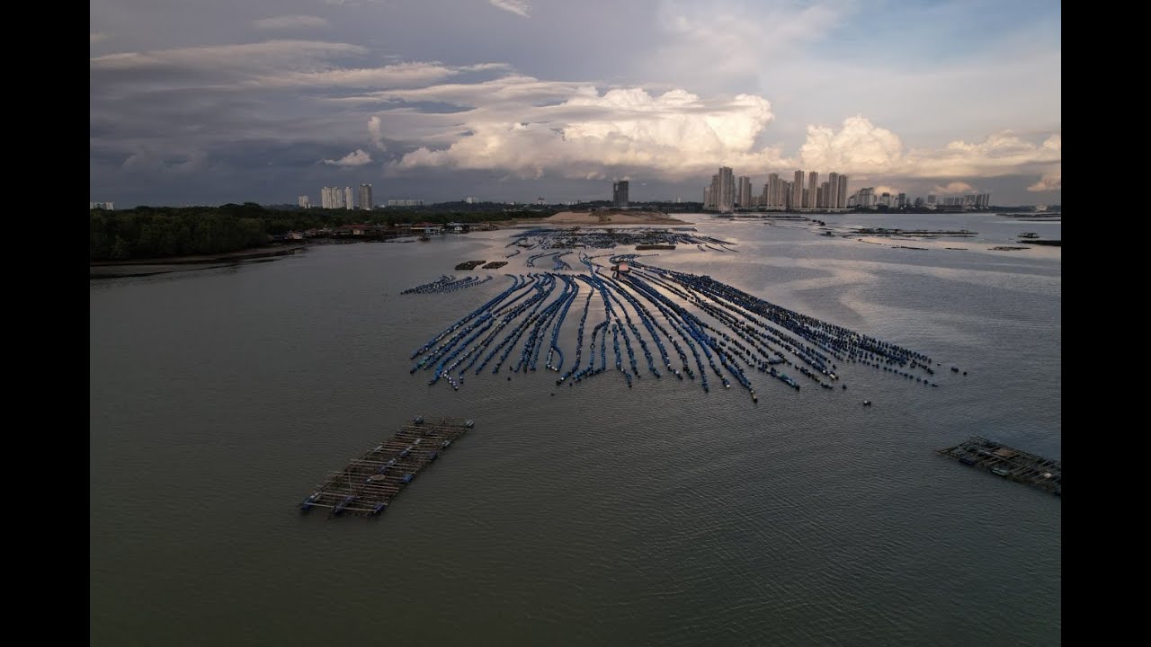 An evening flying over the mussels rafts of Selat Tebrau - YouTube