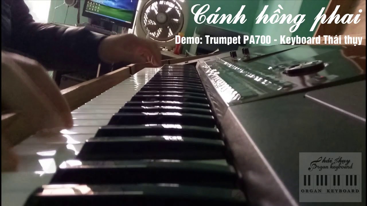 CÁNH HỒNG PHAI - Keyboard Thái Thụy (Demo PA700) - YouTube
