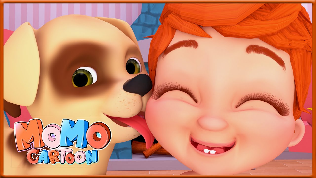 Bingo's Fun Family Sing-Along | comptines et chansons pour bébés | Momo ...