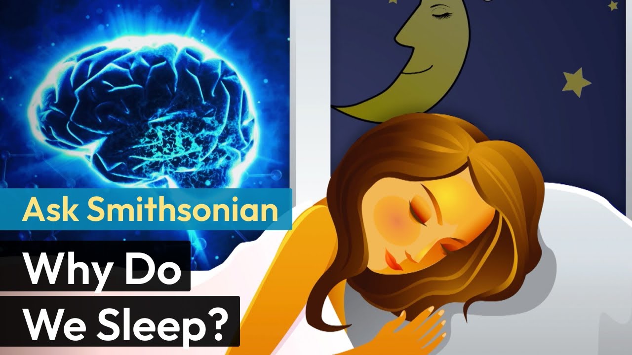 Not Getting Enough Sleep? You Might Be Shortening Your Lifespan