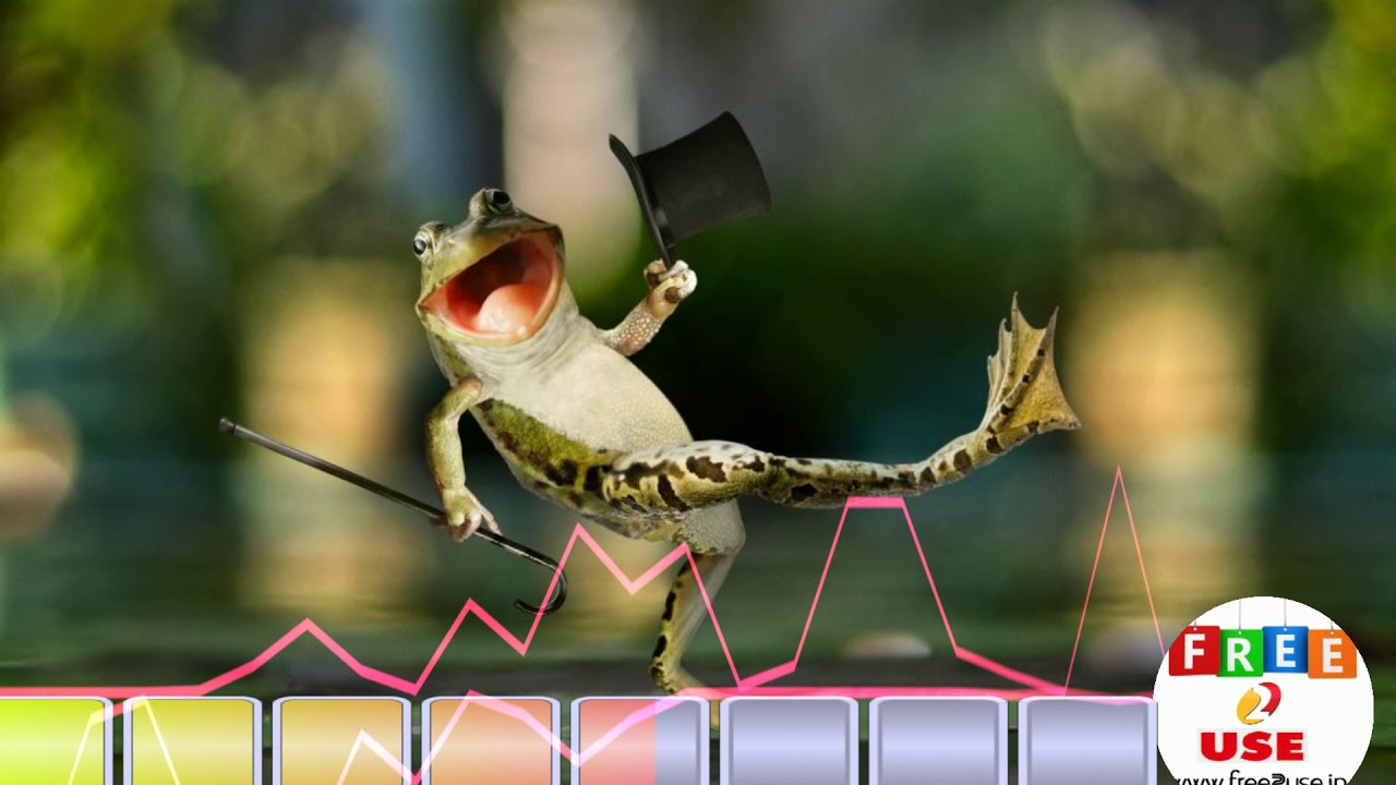 Frog Sound Effect I The Animal Sounds: Frog Croak - Bull Frog Call I ...