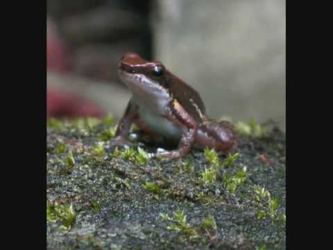 Lullaby: Now the Day is Over -- Sherri Huffman - YouTube