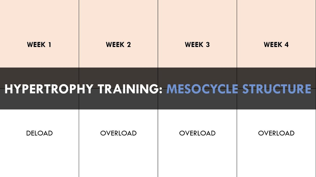 Creating a Hypertrophy Training Program | Part 1: Mesocycle Structure ...