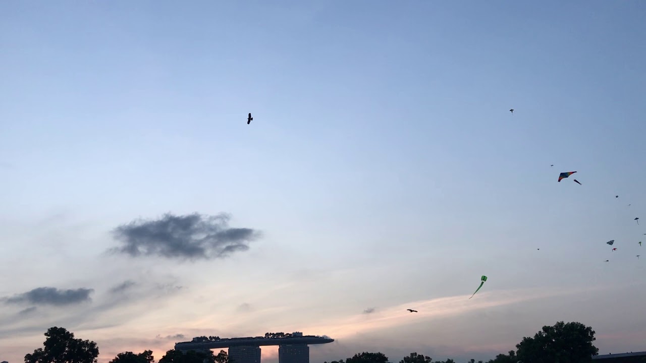 盘鹰 panying eagle kite - YouTube