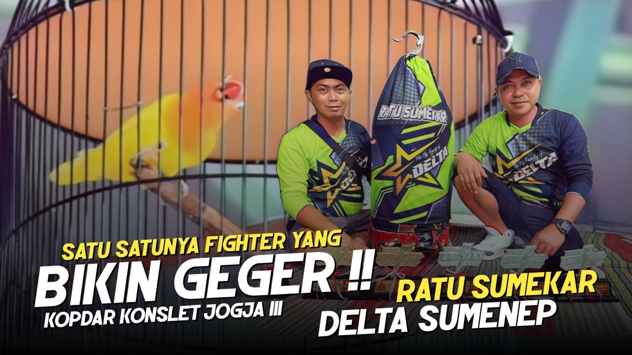 FIGHTER SATU INI BIKIN GEGER !! KOPDAR KONSLET JOGJA PART 3 RATU ...