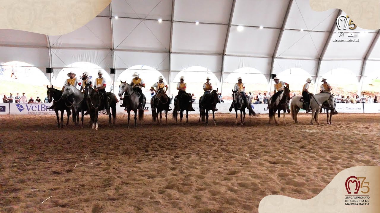 CAMPEONATOS DE FÊMEAS MAIS DISPUTADOS - CBMB - YouTube