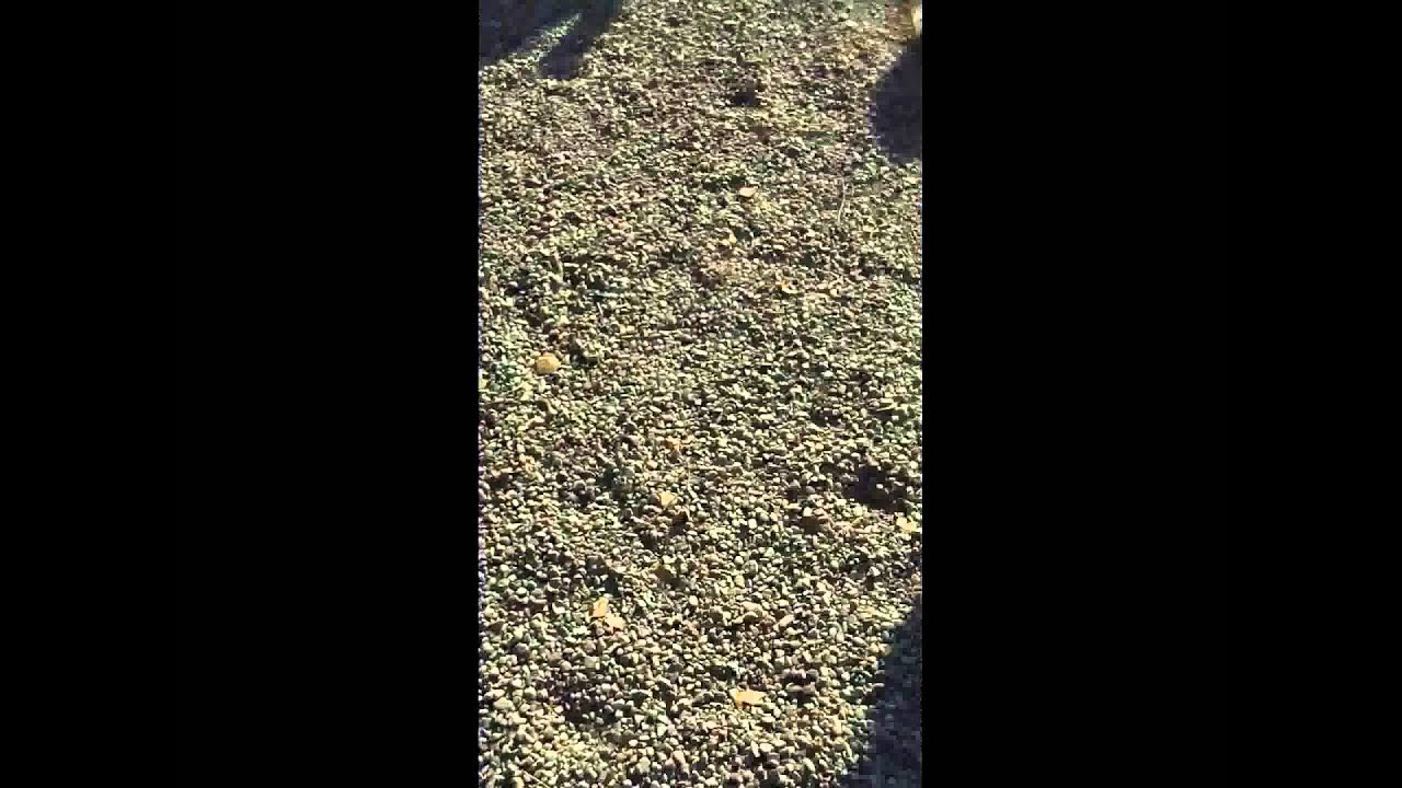 hopp film - YouTube