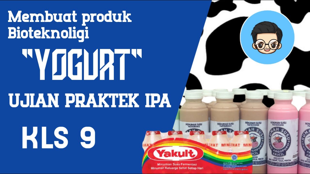 MEMBUAT PRODUK BIOTEKNOLOGI||YOGURT||TUGAS OFICIAL - YouTube