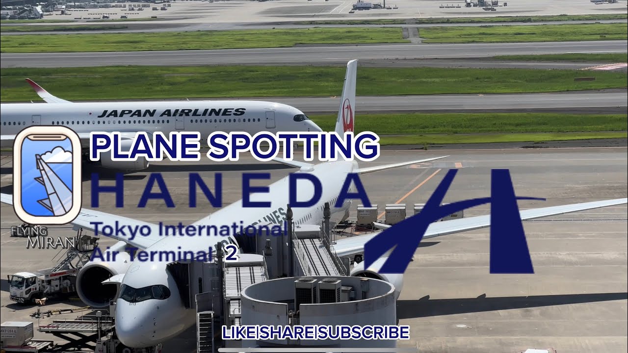 Tokyo International Airport|Plane Spotting | Haneda| Terminal 1 | JAL ...