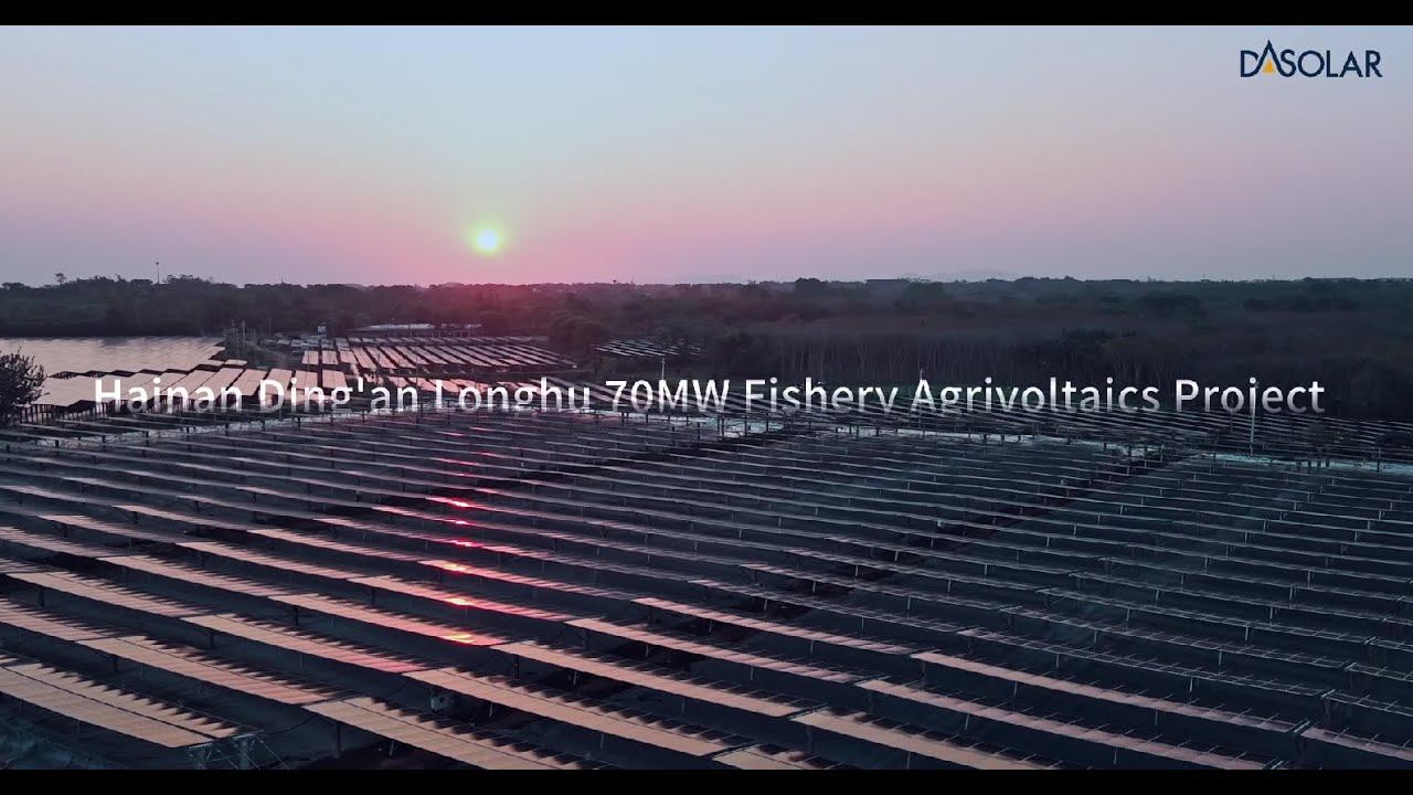Hainan Ding'an Longhu 70MW Fishery Agrivoltaics Project - YouTube