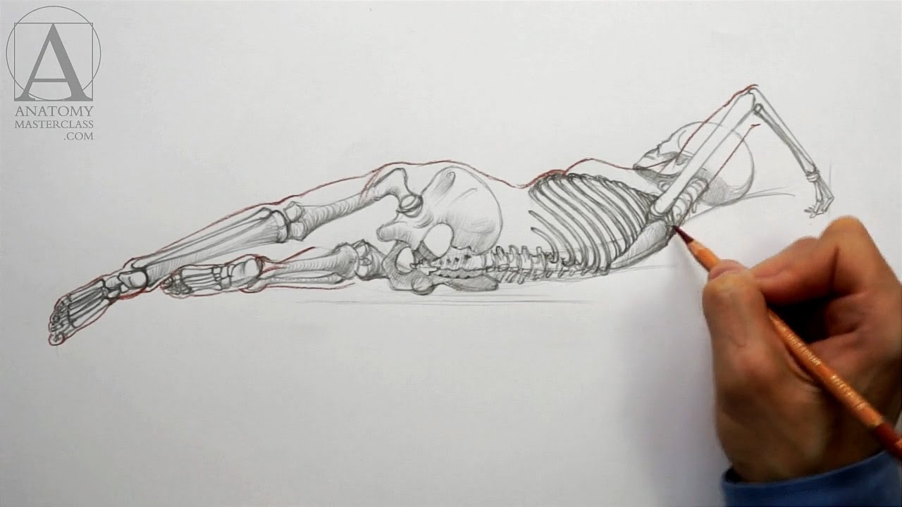 Body Anatomy - Anatomy Master Class - YouTube
