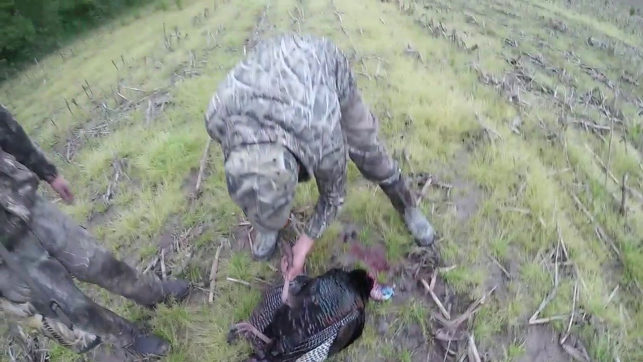 Ohio Turkey Hunting 2017 - YouTube
