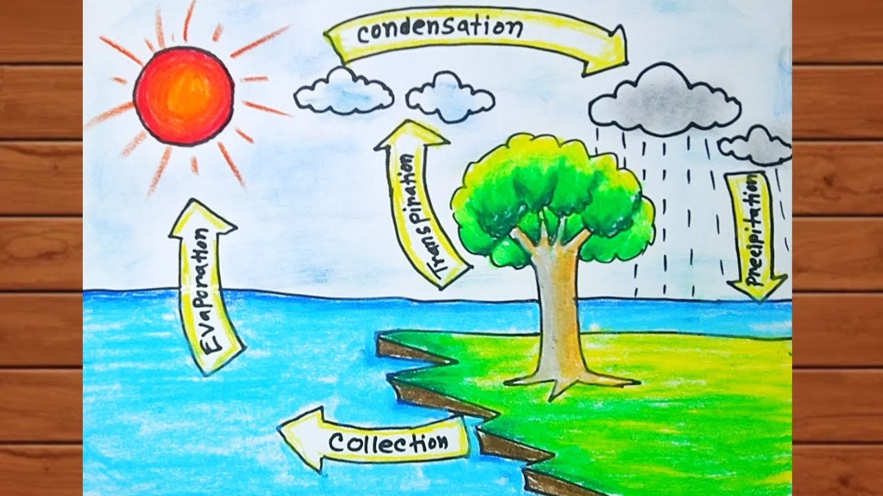 How to Draw Water Cycle Easy / Water Cycle Drawing for School ...