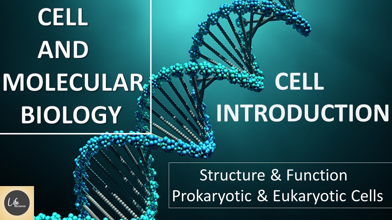 CELL AND MOLECULAR BIOLOGY / STRUCTURE AND FUNCTION OF PROKARYOTIC AND ...