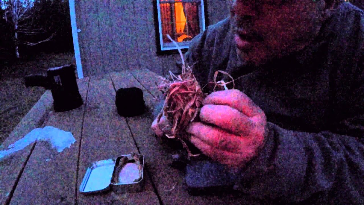 MAKING CHARRED PUNK WOOD AND A FIRE - YouTube