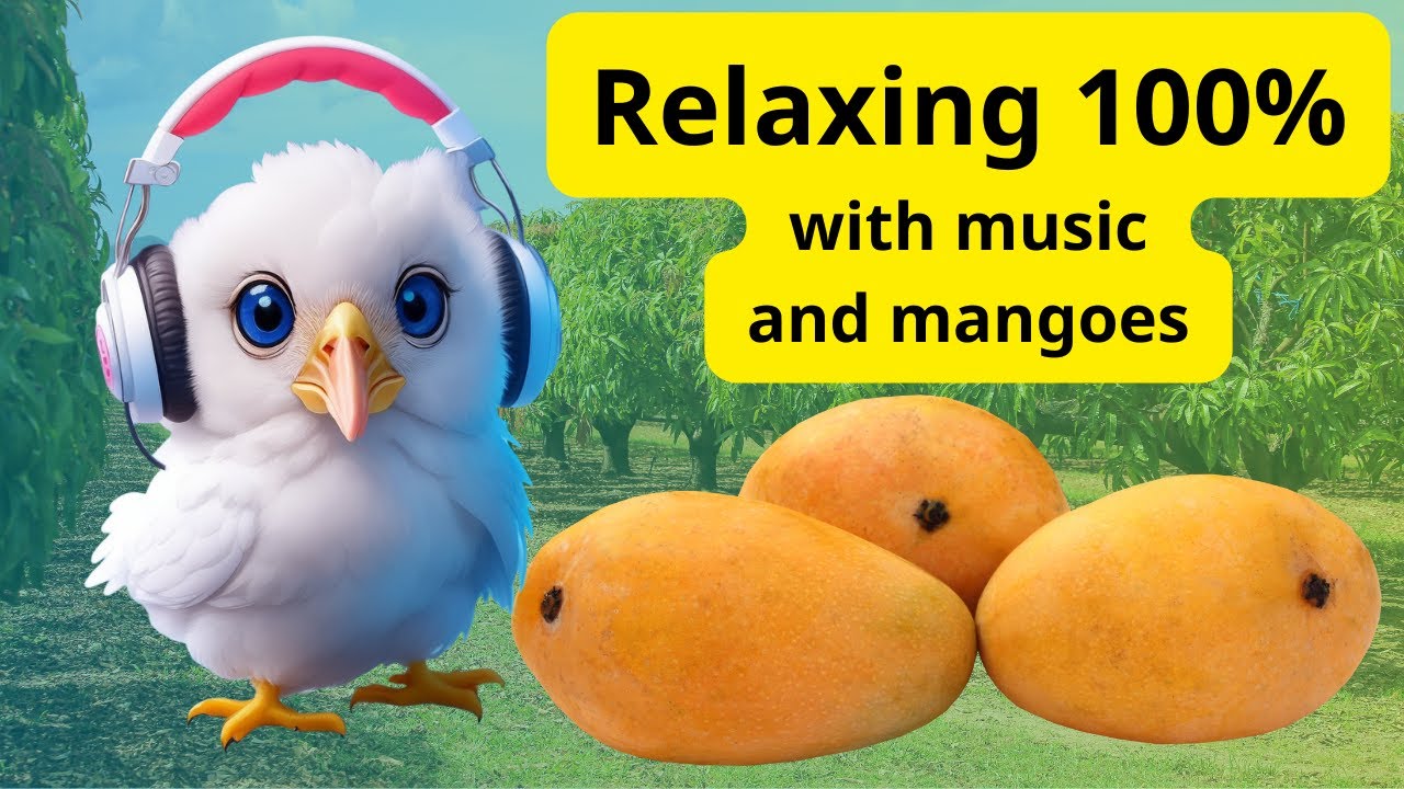 Vietnamese mangoes and music: A recipe for relaxation - YouTube