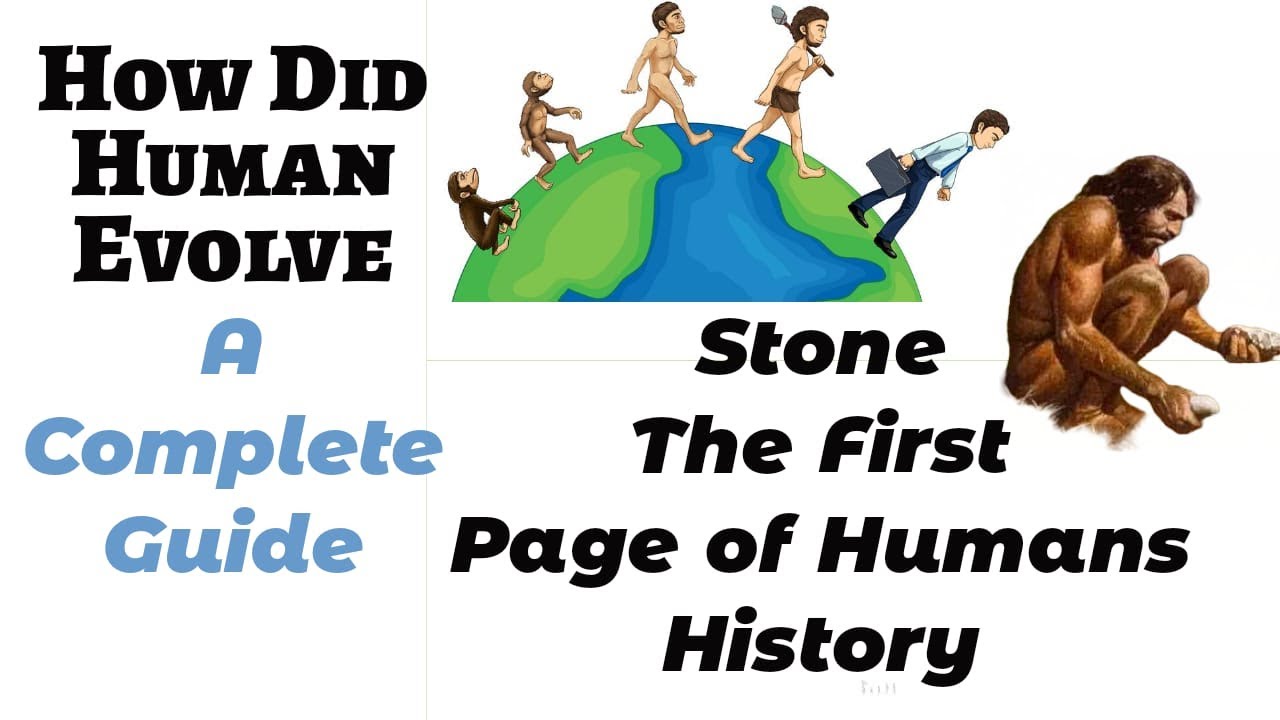 NCERT, How Did Humans Evolve A Complete Guide, The Stone, First Page of ...