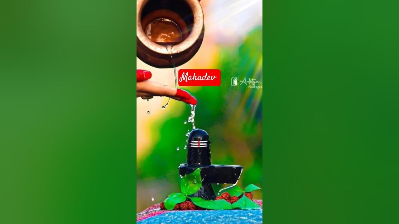 ☘️☘️🌸#mahadev #viral #shortsfeed #tranding #shorts - YouTube