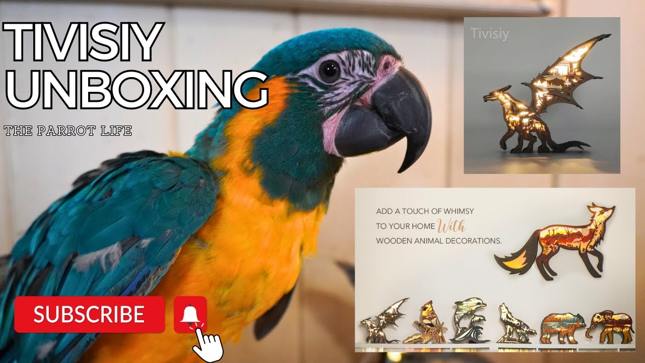 UNBOXING TIVISIY COLLAB | HAPPY EARTH DAY MONTH - YouTube