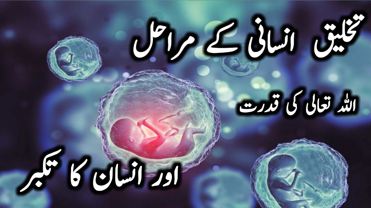 The Stages of Human Creation | The Birth of a Human | Voice Of Rajjab ...