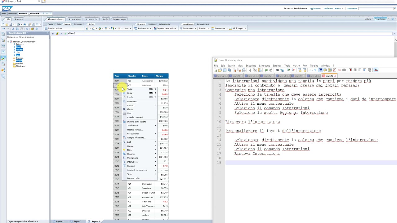 WEBI Business Object SAP Creare Interruzioni - YouTube