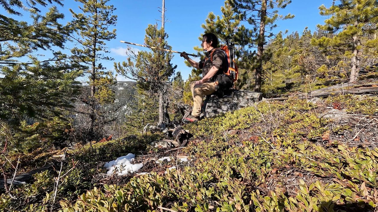 Deer Ridge April 16th 2023 - YouTube