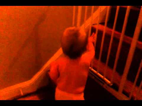 Break my rusty cage...and run - YouTube