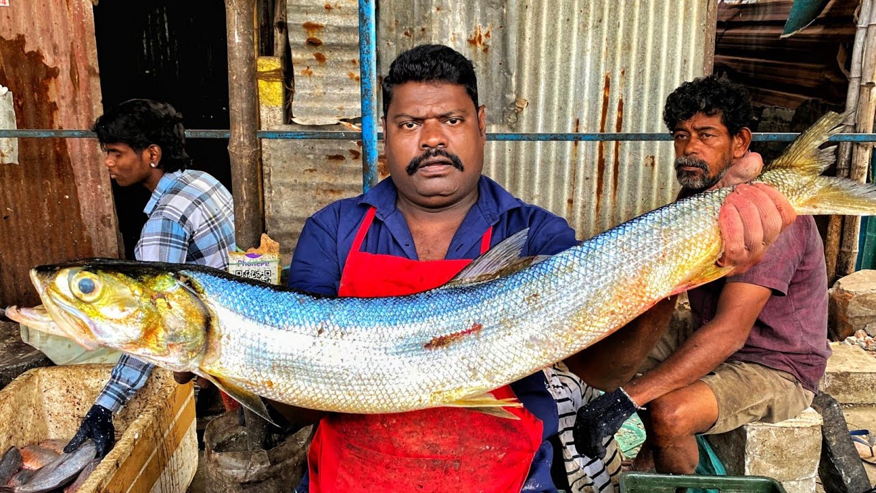 KASIMEDU 🔥 SPEED SELVAM | HUGE ALATHI FISH CUTTING VIDEO | 4K VIDEO ...