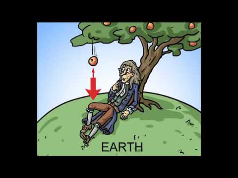 Newton ' un Başına Gerçekten Elmamı Düştü ?  | PODCAST