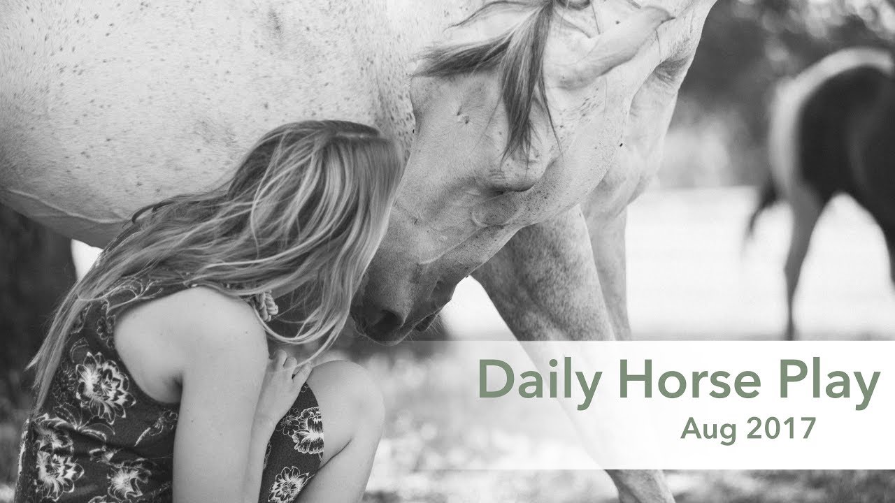 Daily Horse Play - Aug 2017 - YouTube