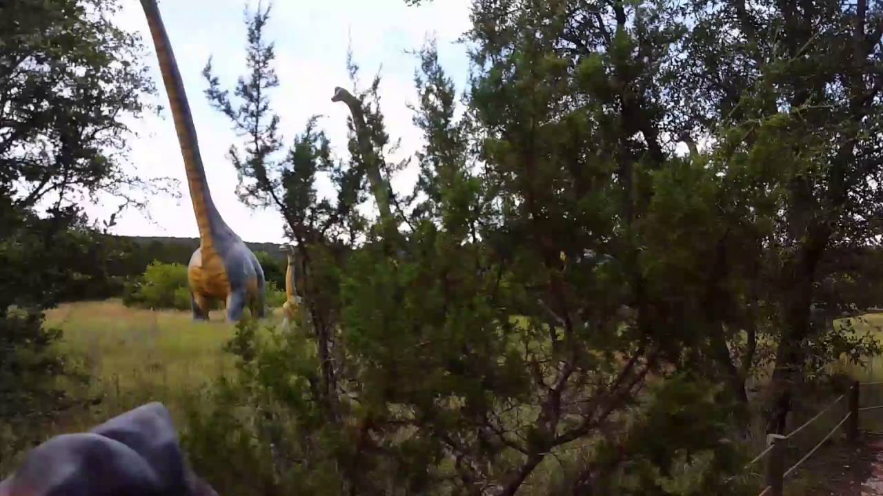 Brachiosaurus family spotted at Dino World - YouTube