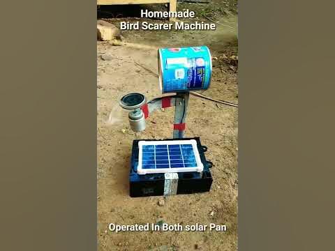 Homemade Bird scarer machine - YouTube