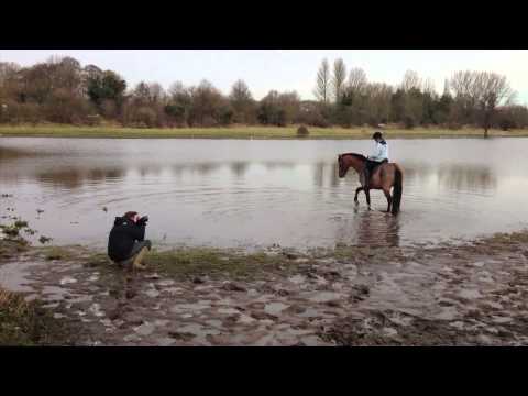 T.E.N. Horse Supplements | Challenged Joints | Behind the scenes with Emma Rees & Ohkee