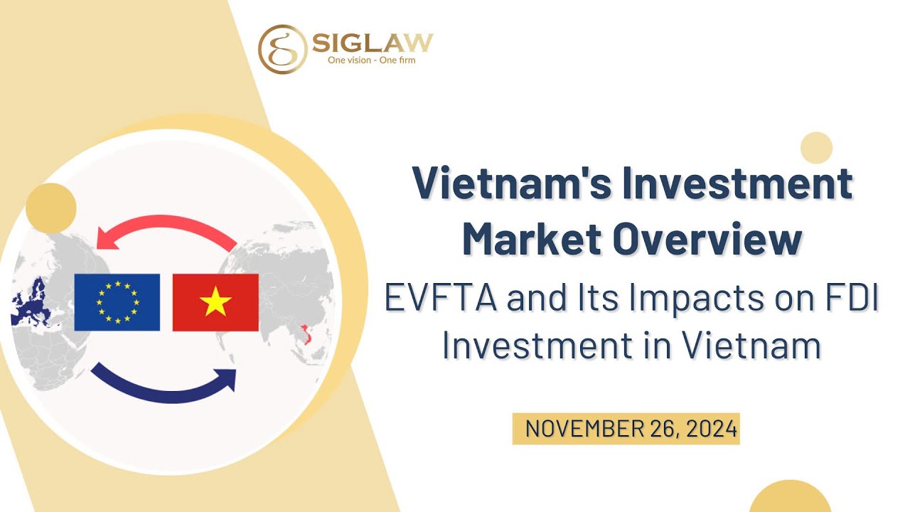 EVFTA and Its Impacts on FDI Investment in Vietnam - YouTube