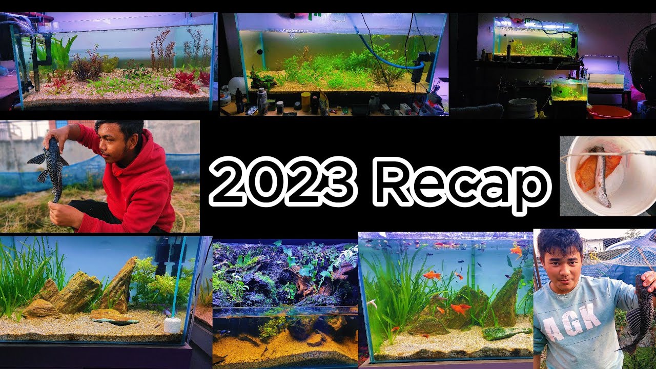 "2023 Recap: A Year in Review | Unforgettable Moments, Trends, and ...