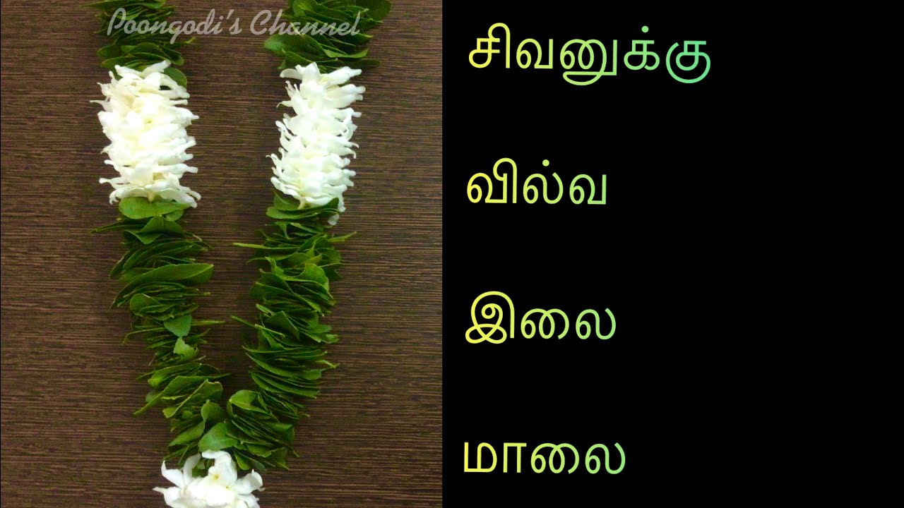 சிவனுக்கு உகந்த வில்வ இலை மாலை 2 | Vilva leaf garland for Lord Shiva ...
