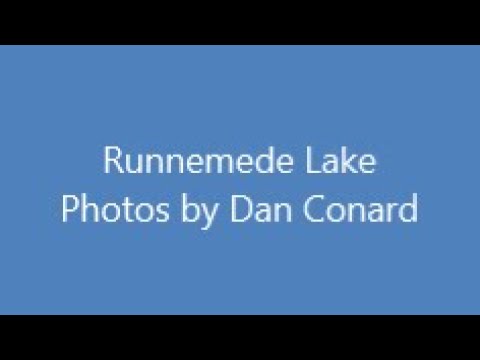Runnemede Lake Photos March 2023 - YouTube