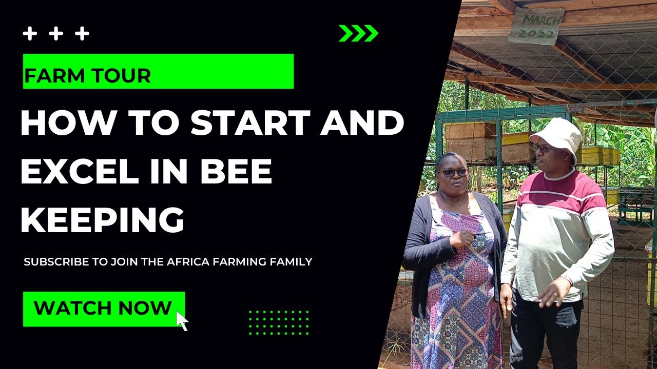 How to START a SUCCESSFUL organic BEE FARMING Business as a BEGINNER ...