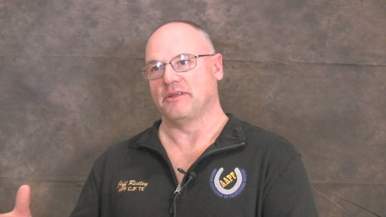2012 IHCS (Jeff Ridley): Transitioning Into Dressage Horses - YouTube