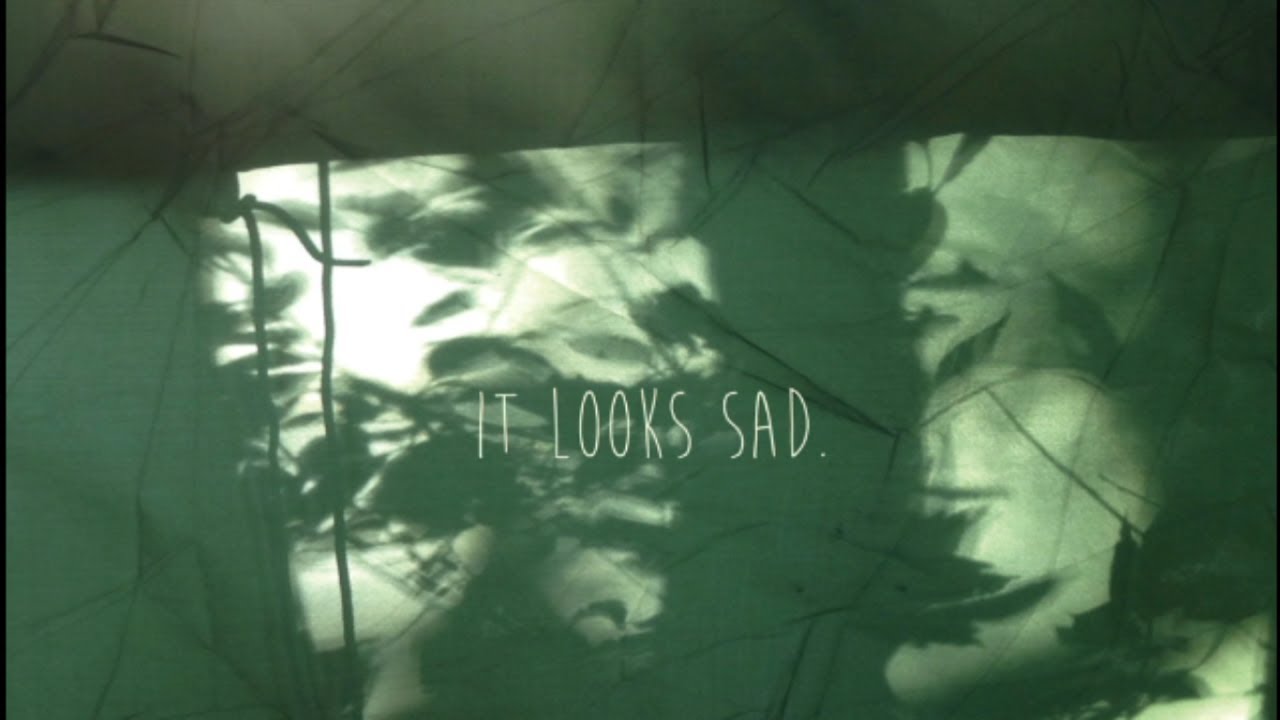 it looks sad. - creature (legendado / pt-br) - YouTube