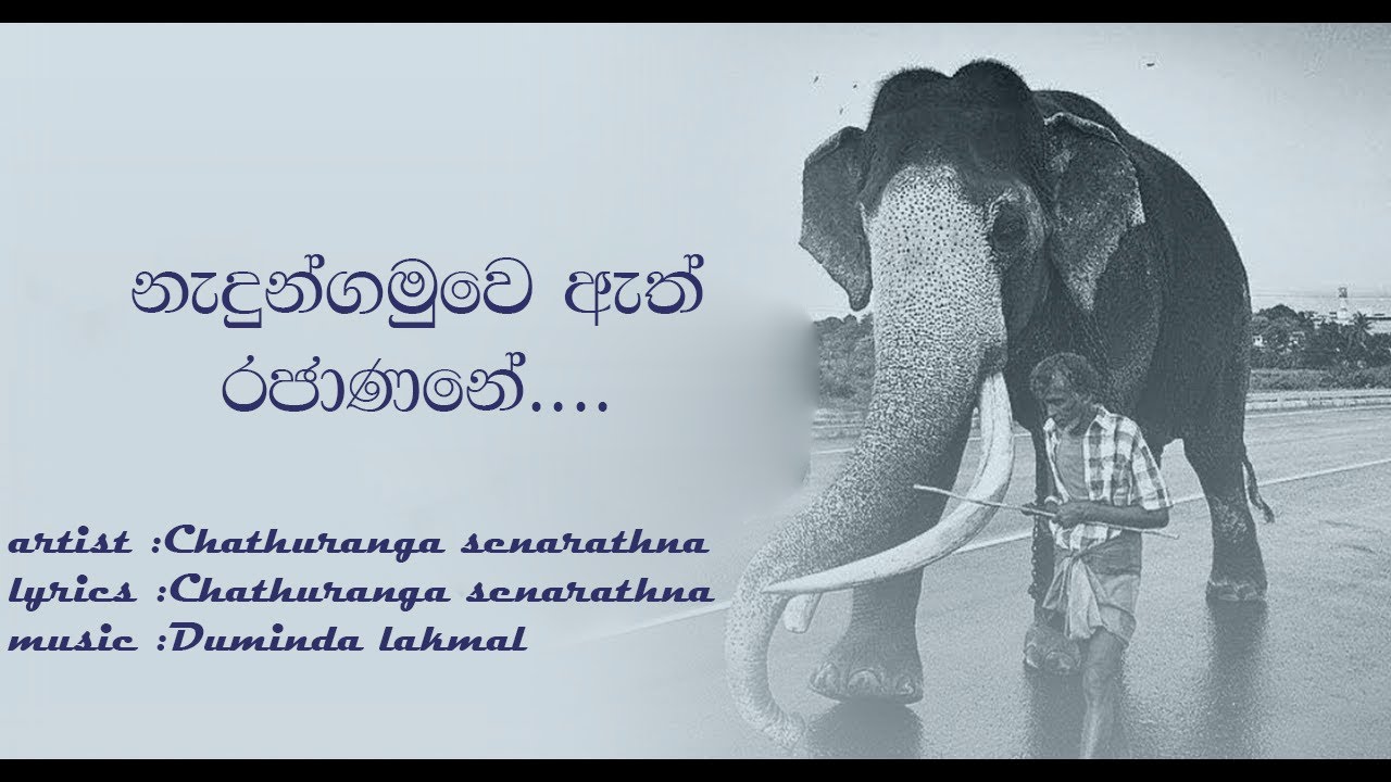Nadungamuwe raja | dalada song | chathuranga senarathna නැදුන්ගමුවෙ ඇත් ...