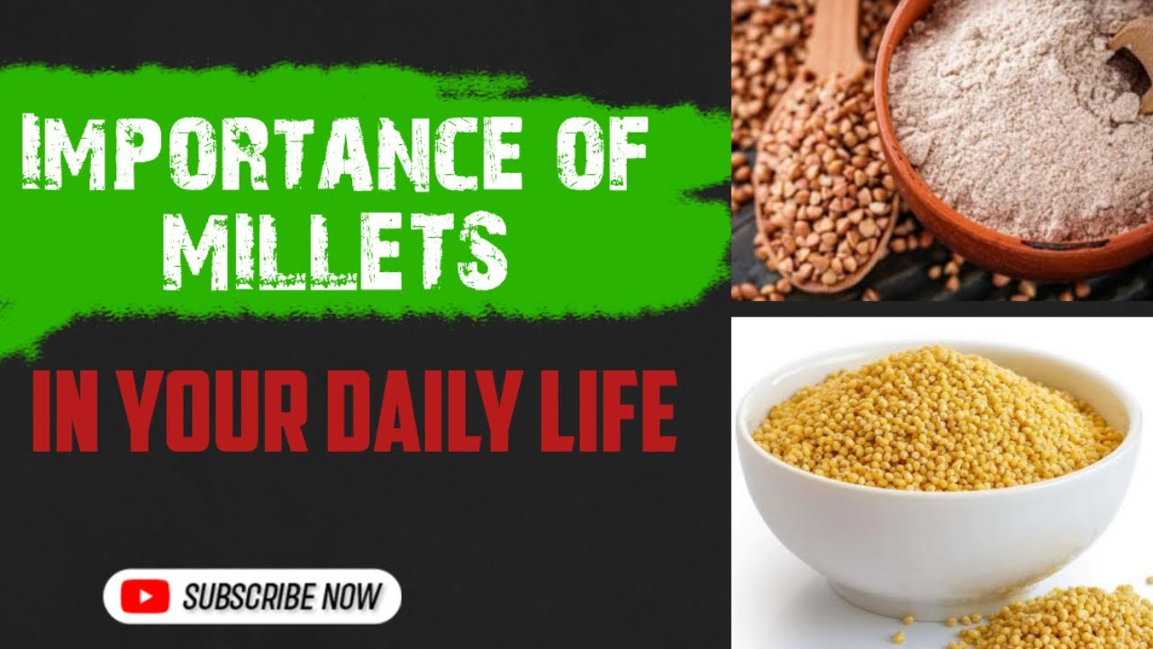 All About Millets | Types & Variety | How to Eat Millets for Weight ...